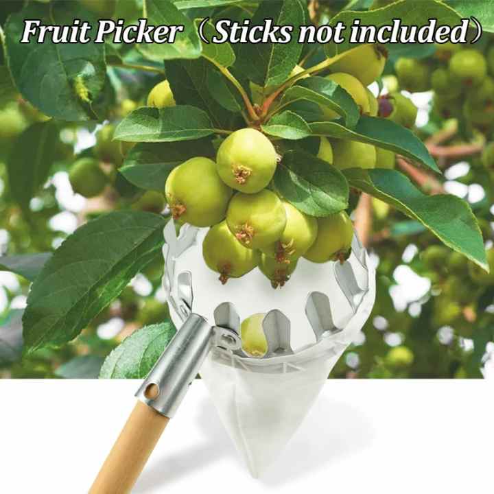 Recolector de frutas de Metal para huerto, herramientas de recolección ...
