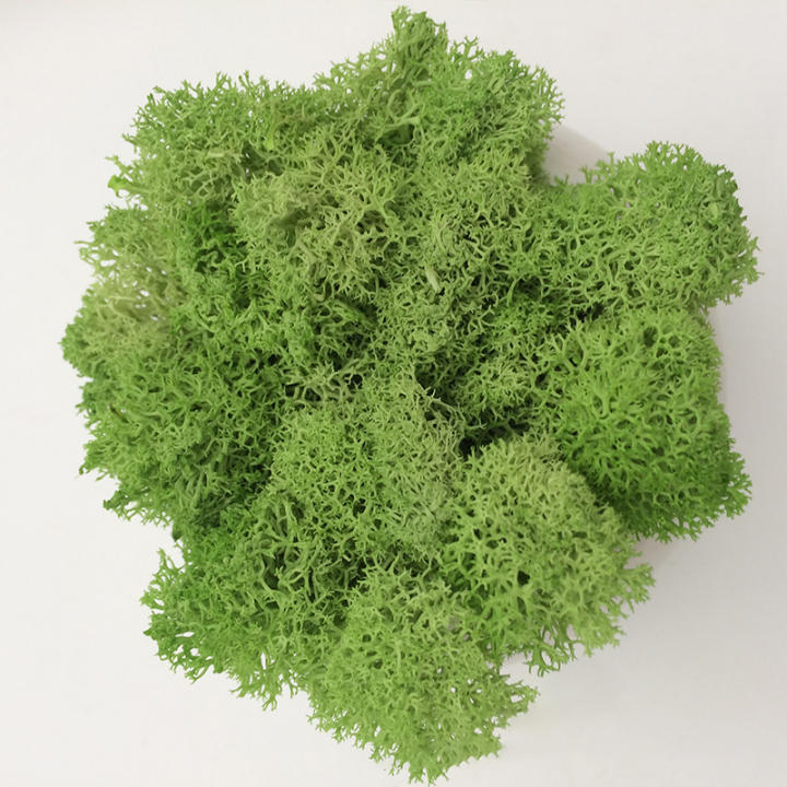 HI-Q de musgo Artificial inmortal, hierba de musgo Artificial, flor ...