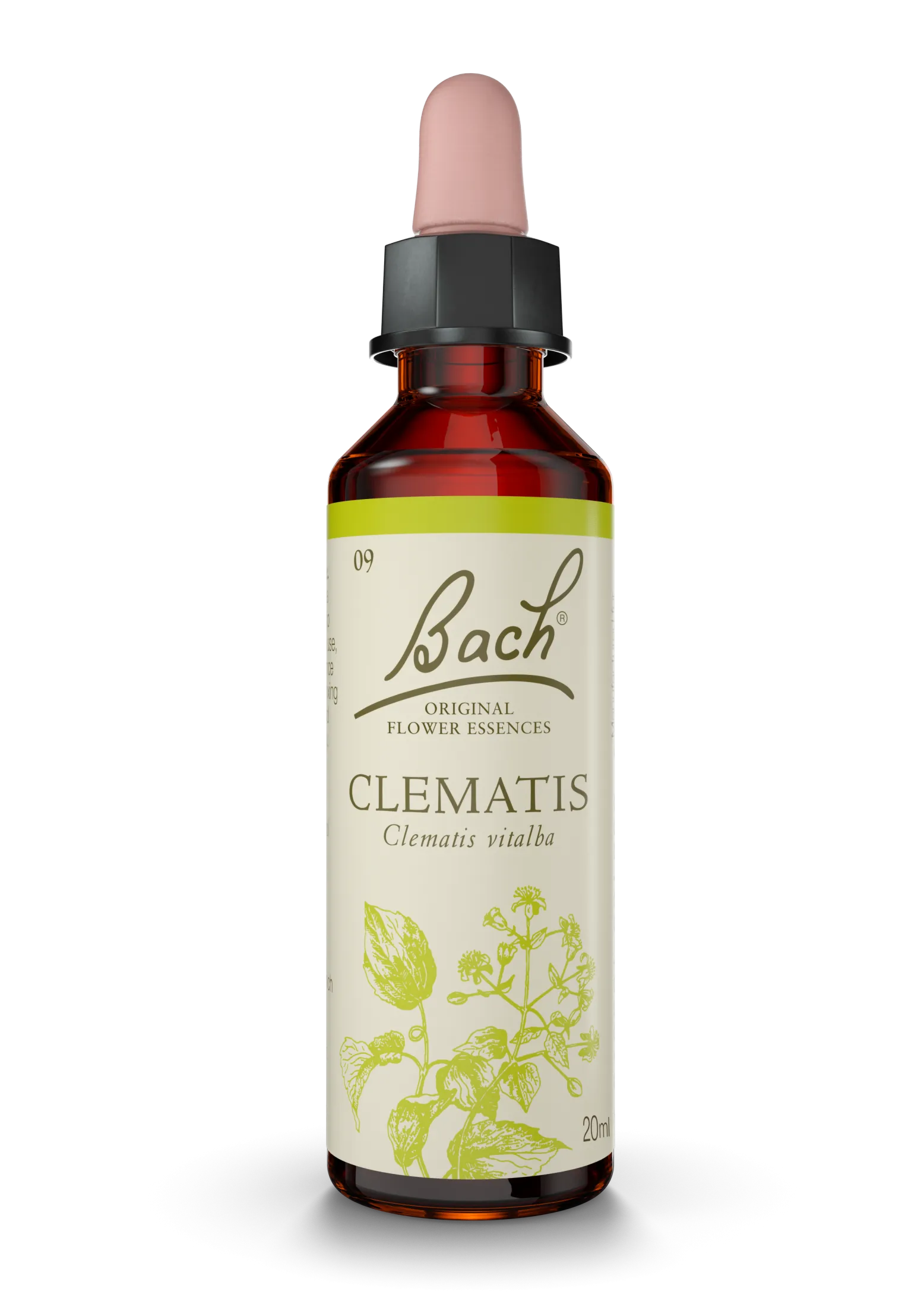 Flores de Bach Clematis 20 ml de elixir floral | Bach Original | Miravia