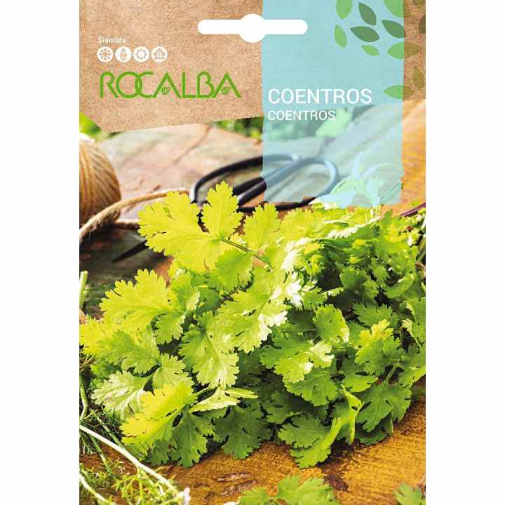 Cilantro (coriandrum sativum). Sobre de semillas. 10 grs. Rocalba | Miravia