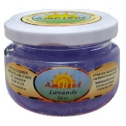 Ambientador de Lavanda 100 ml | Ambisol | Miravia