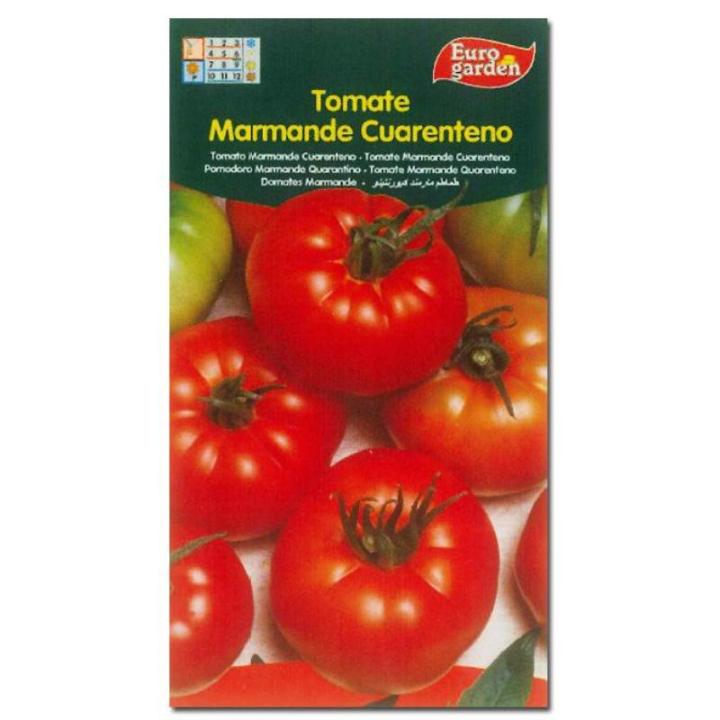 Semillas fito horticolas tomate cuarenteno marmande 00290 (caja 10 ...