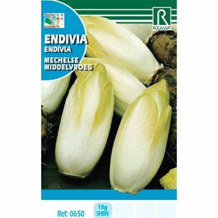 HORTALIZAS ENDIVIA MECHELSE MIDDELVROEG 3 SOBRES SEMILLAS | Miravia