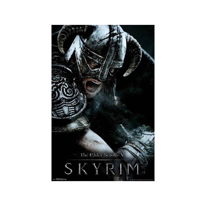 Poster The Elder Scrolls V: Skyrim (POSTER 61 x 91,5) - Decora Tu hogar ...