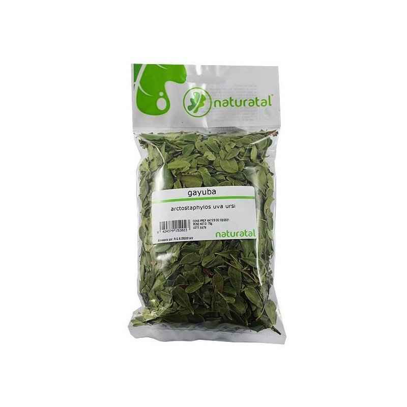 Gayuba (Arctostaphylos uva-ursi) 75g de Naturatal | Miravia