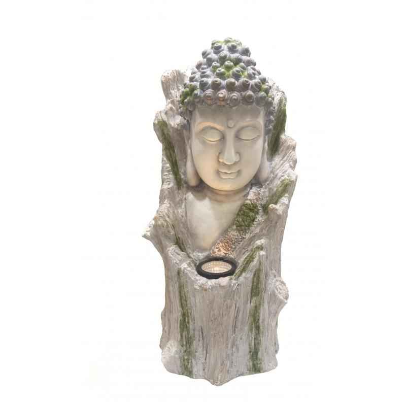 CABEZA BUDA TRONCO SOLAR 54549 | Miravia