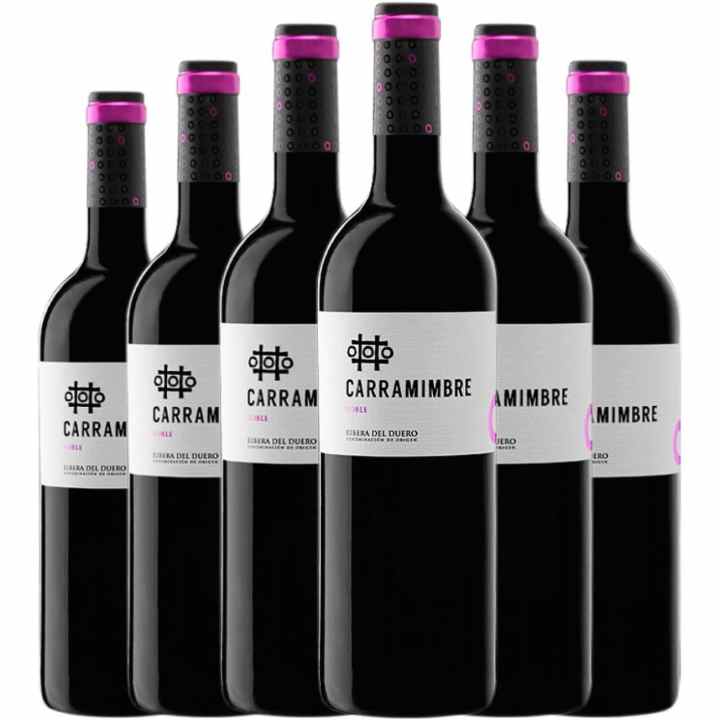 Carramimbre Ribera del Duero Roble 75 cl Vino tinto (Caja de 6 Botellas de 75 cl) | Miravia