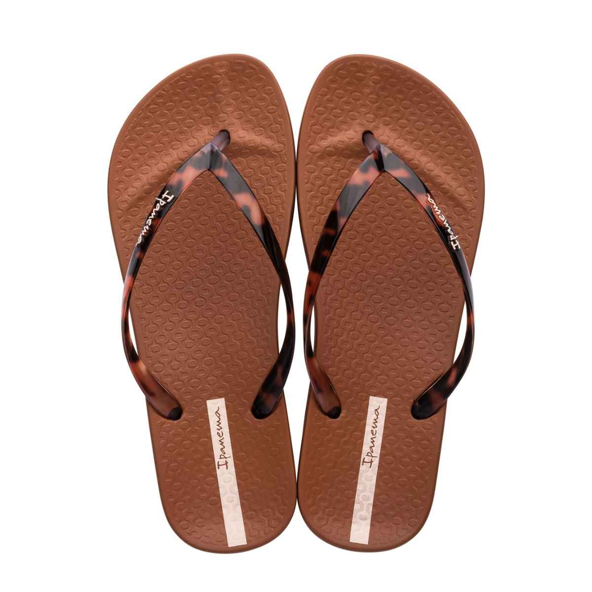 Ipanema. Flip Flop Marrón IP 27006-AJ406 BROWN/CLEAR. | Miravia