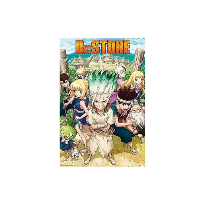 Poster Groupe - Dr Stone (POSTER 61 x 91,5) | Miravia