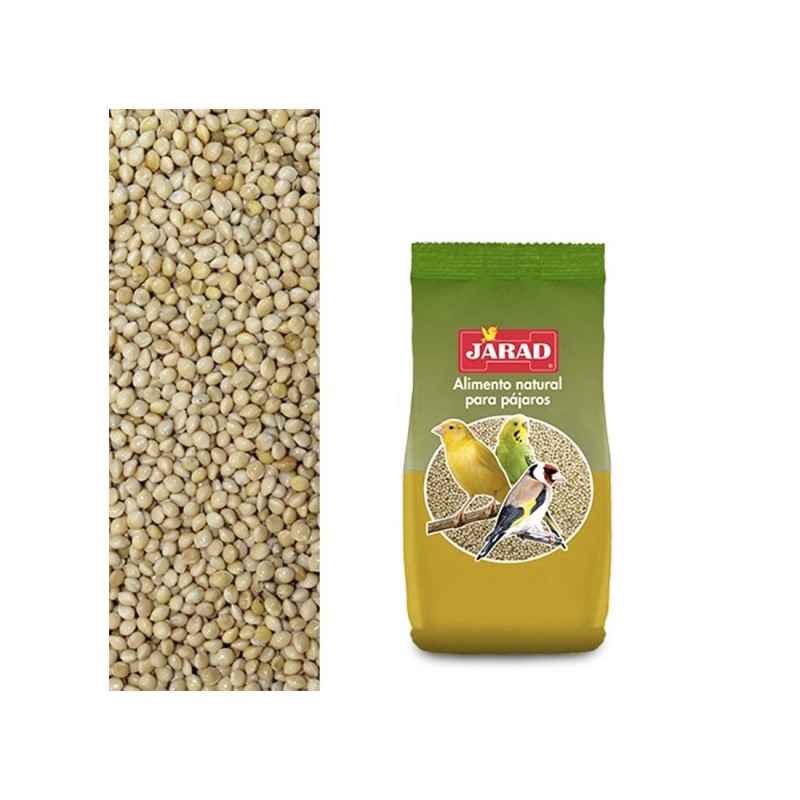 Semilla de Mijo blanco Jarad 500 gr | Miravia