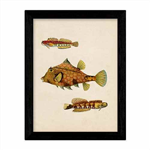 Lámina De Tres Peces Marrones, Amarillos En Tamaño A3, Fondo Papel ...