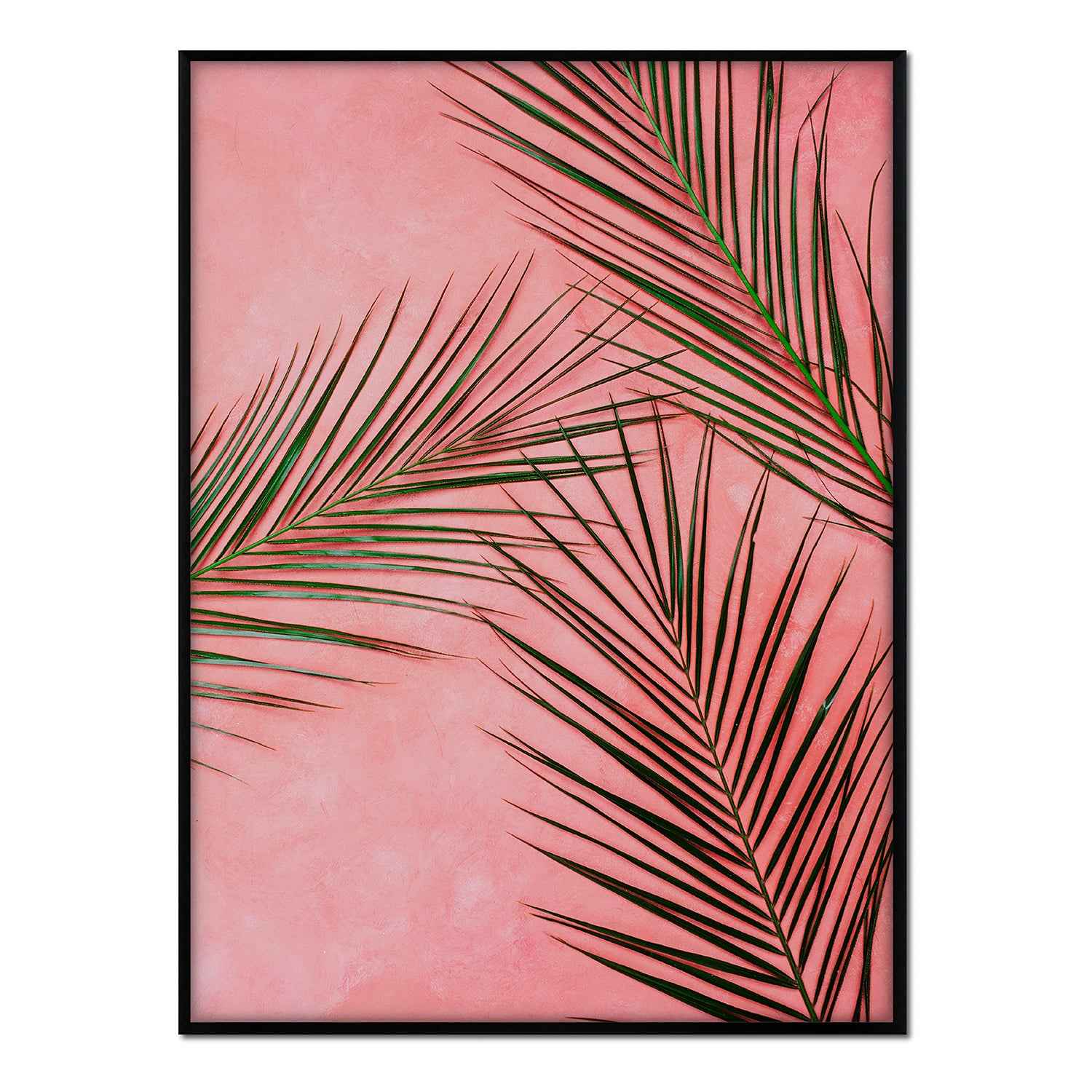 Momark - Póster palmeras color | Miravia