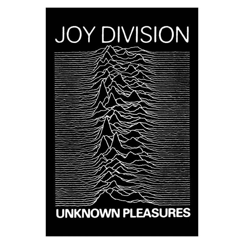 Joy Division (POSTER) | Miravia
